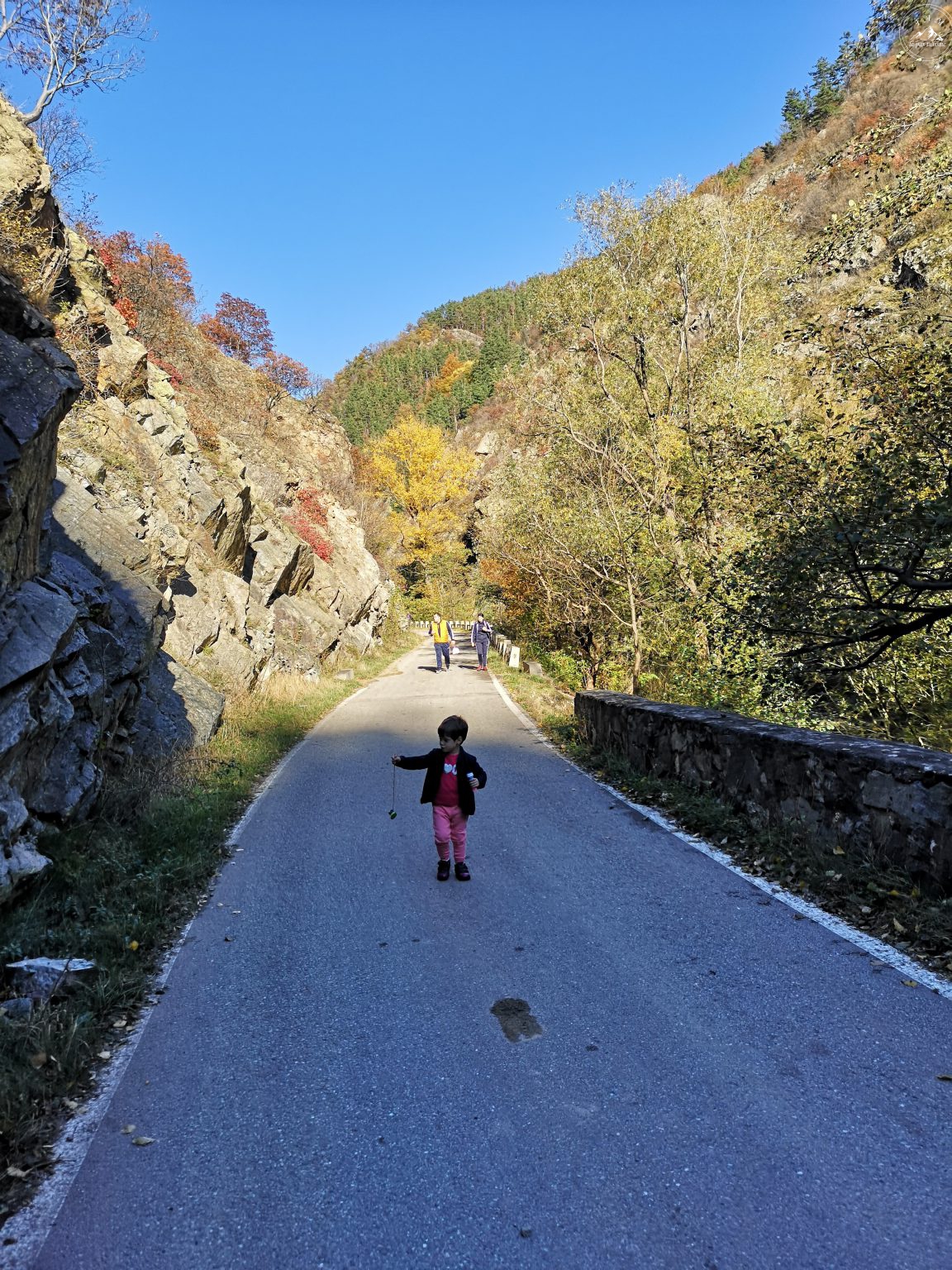 Morile de apă seculare de pe Valea Rudăriei - FAM la pas turistic