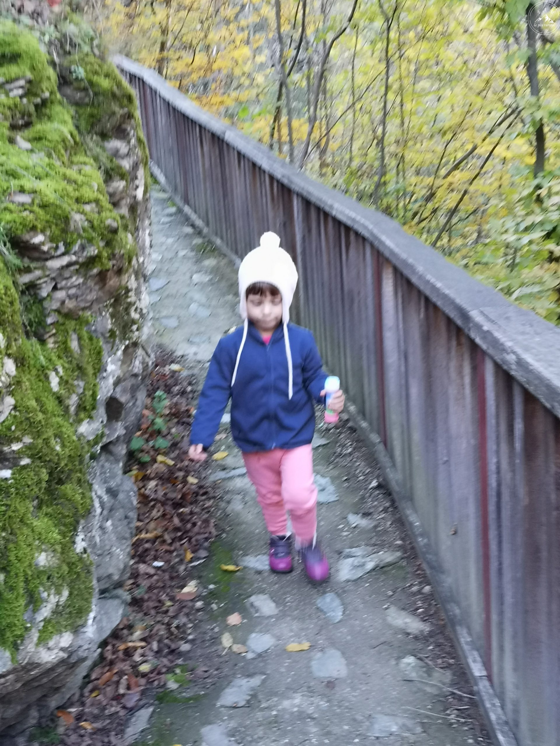 Morile de apă seculare de pe Valea Rudăriei - FAM la pas turistic