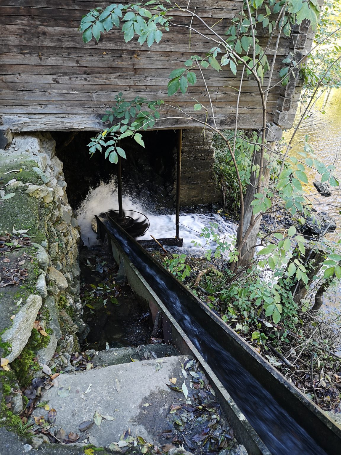 Morile de apă seculare de pe Valea Rudăriei - FAM la pas turistic