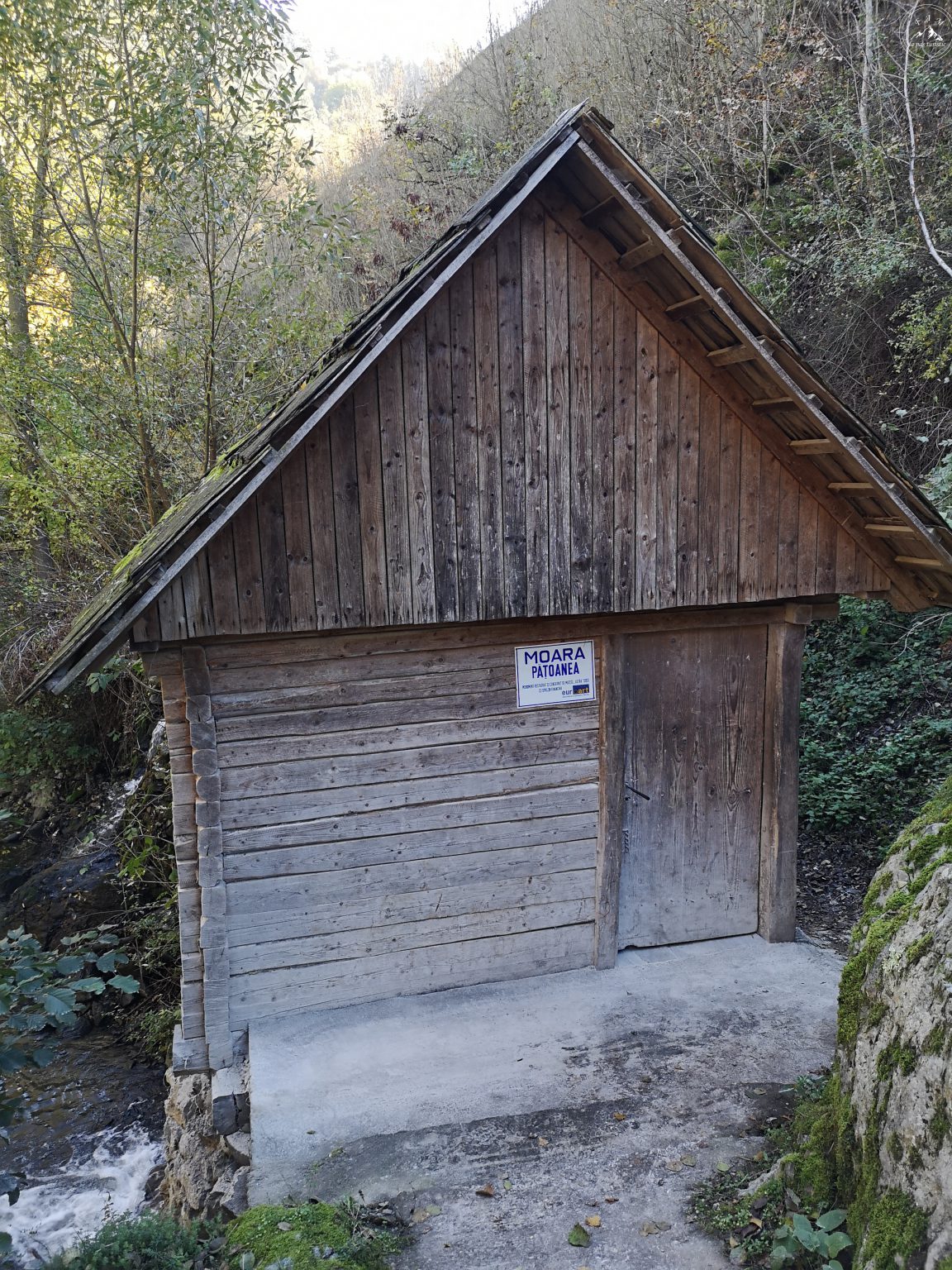 Morile de apă seculare de pe Valea Rudăriei - FAM la pas turistic