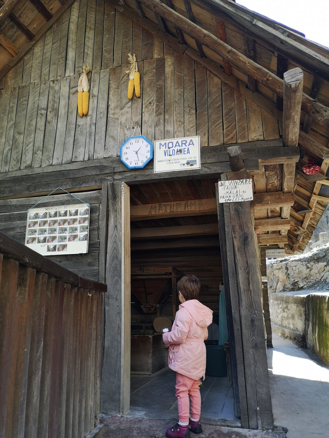 Morile de apă seculare de pe Valea Rudăriei - FAM la pas turistic