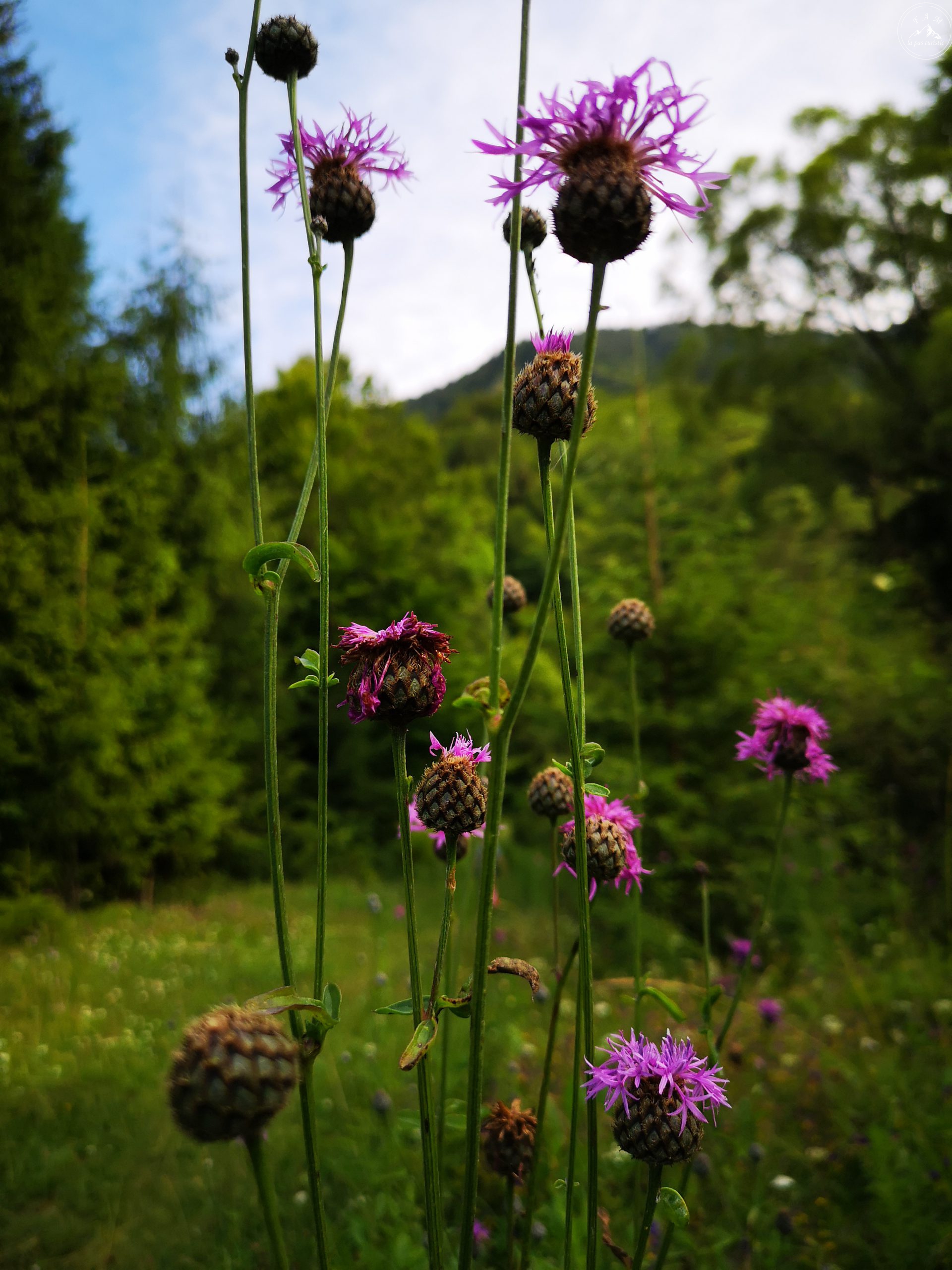 Cascada Pișoaia și Dealul cu Melci - călătorie atemporală în orice ...