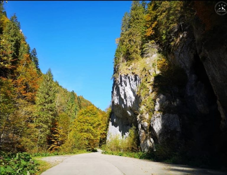 Cheile Ordâncușii - peștera Poarta lui Ionele - peștera Ghețarul de la ...