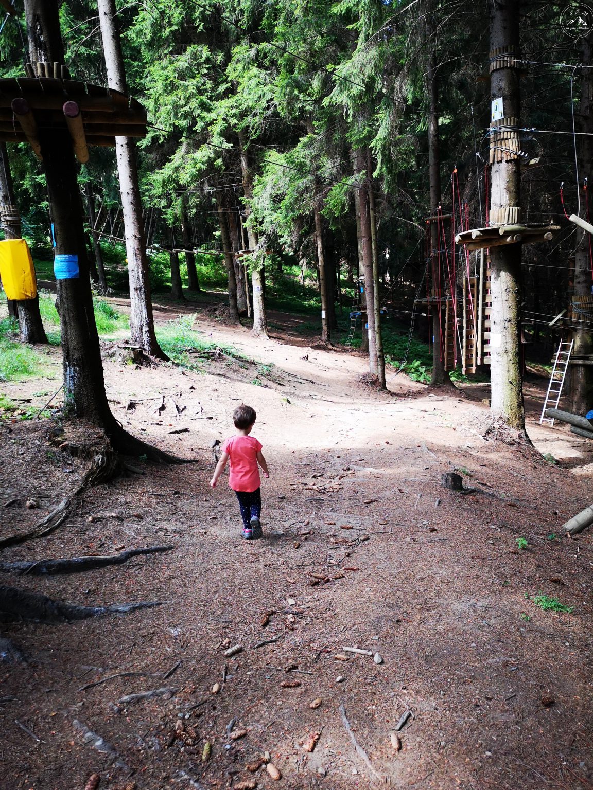 Arka Park Păltiniș - adrenalină cu familia la parcul de aventură - FAM ...