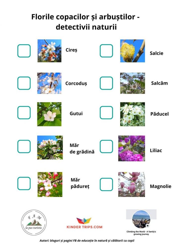 PRIMĂVARĂ: peste 20 de activități cu resurse din natură și materiale ...